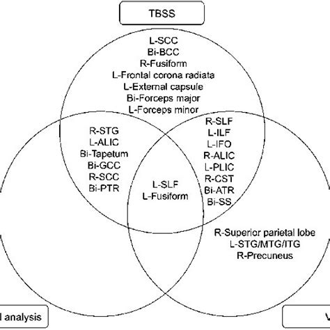 Diagram Showing Nature Of Overlapping Results From Multiple Analytical