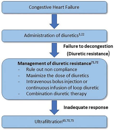 Management Of Diuretic Resistance Download Scientific Diagram