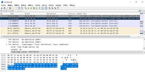 Ctfhub Misc流量分析 3ch0nu1l 博客园 Ctfhub Misc流量分析 3ch0nu1l 博客园