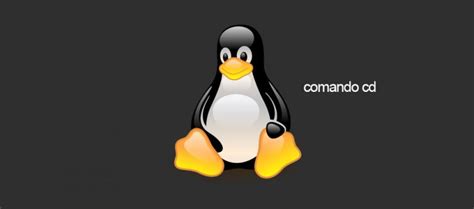 comando cd de linux extassis network tutoriales