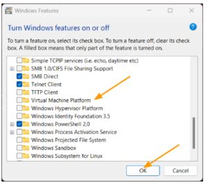 FIX Virtualized Intel VT X EPT Is Not Supported On This Platform GetLabsDone