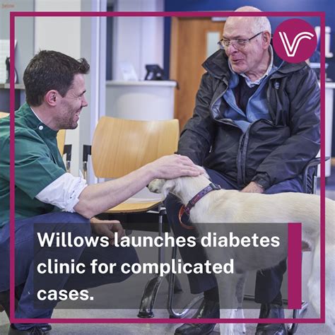 Vet Report The Renowned Willows Veterinary Centre And Facebook