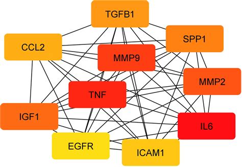 The Top 10 Hub Genes Identified By Cytohubba Download Scientific Diagram