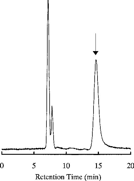 Figure 4 From The Use Of Fibrous Polymer Materials In Capillary Electrochromatography Review