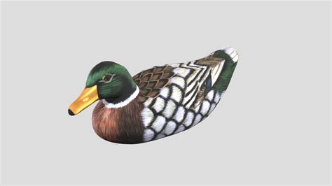 Anatra 03 3d Model By Coche403 E007d40 Sketchfab