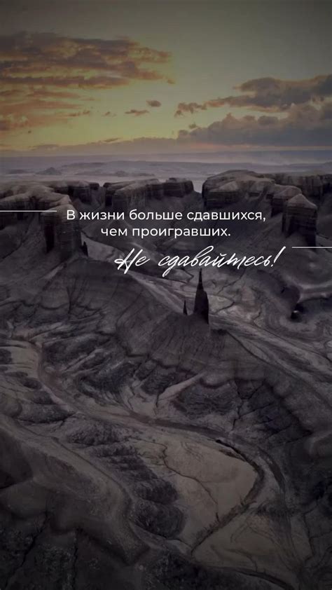 Мотивационная цитата дня аффирмация Мотивационные цитаты Цитаты Мотивация