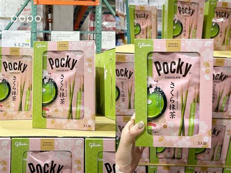 2024好市多必買7大新品推薦！肉鬆生乳巧貝、日本限定「哈根達斯焦糖雪酥」全都買得到！ ｜ Popo筆記