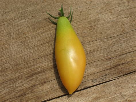 Scientists Are Using Crispr To Make Spicy Tomatoes Gastro Obscura