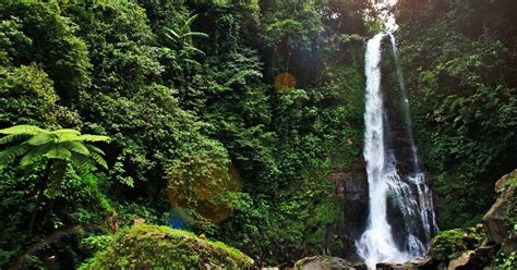 Gitgit Waterfall One Of The Best Bali Waterfalls Bali Traveller