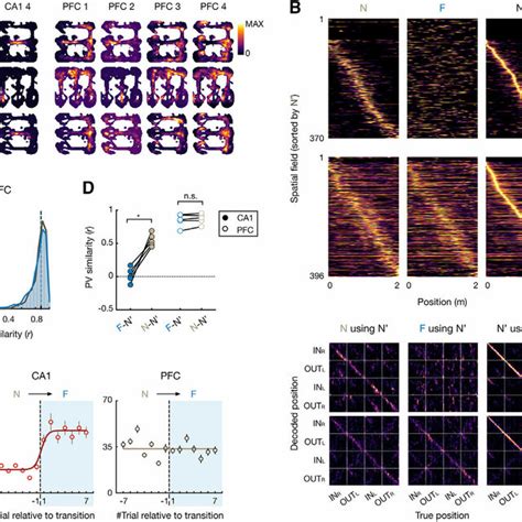 Hippocampus Shows Global Remapping Whereas Prefrontal Spatial Download Scientific Diagram