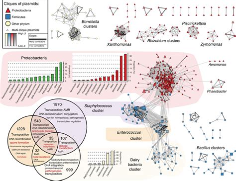 The Network Of Cliques Cliques Represented As Vertices Are Connected Download Scientific