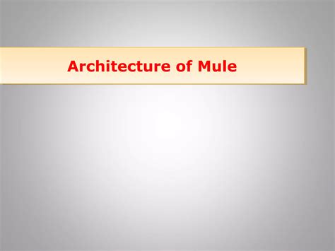 Architecture Of Mule Ppt