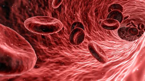 40 Facts About Plasma Protein