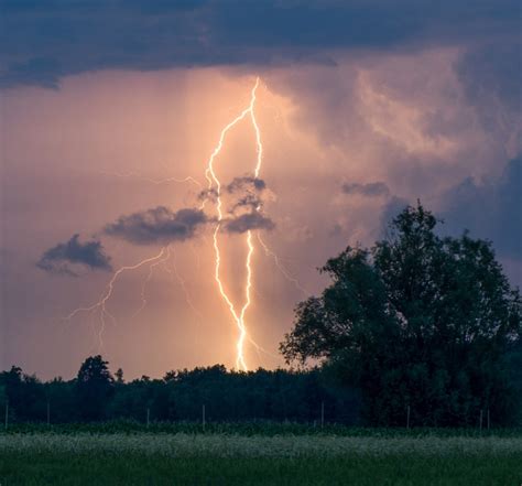 Community Input For Nonbinary Consulting