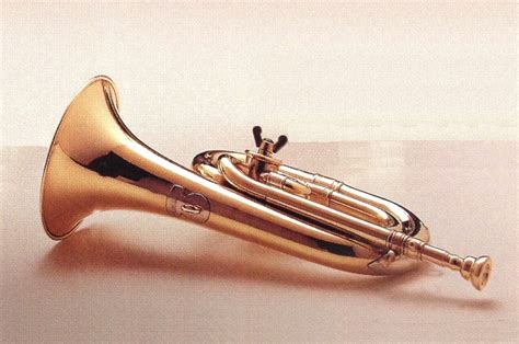 Corneto Instrumento Híbrido Del Renacimiento Ruiz Healy Times