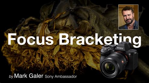 Focus Bracketing Mark Galer