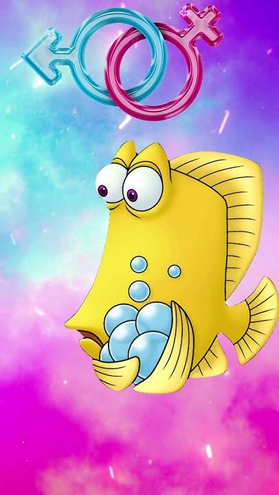 Finding Nemo And Dory Gender Swap Edit Buscando A Nemo Con Género