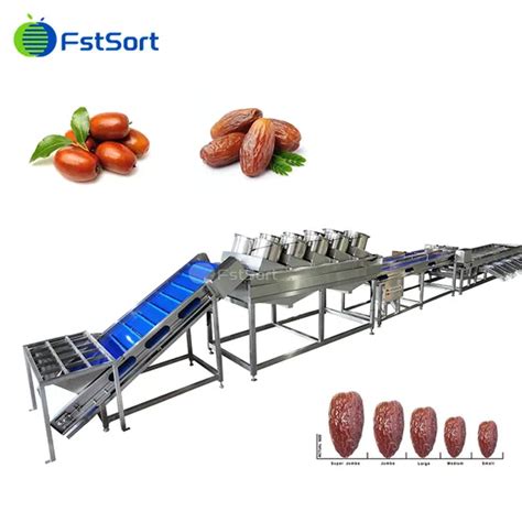 Dates Processing Machinery Dates Grading Packing Equipment Jujube Sorter Grader Fstsort