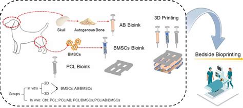 Schematic Illustration Of The Bbp Process Used For Cranioplasty And