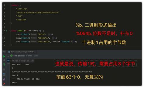 Protobuf 介绍与实战51：在proto文件中，数据类型为int32int64uint32uint64sint32sint64