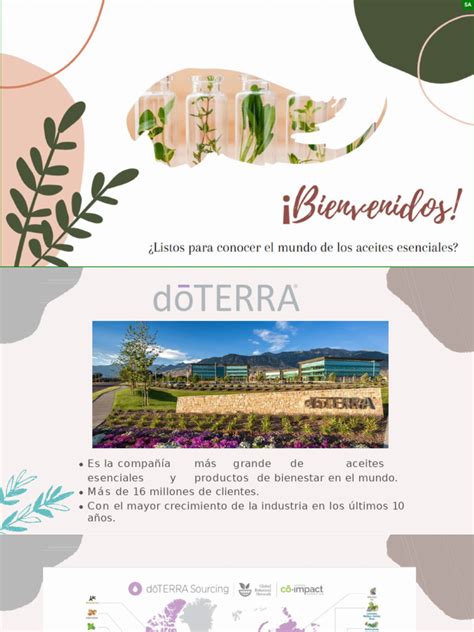 Intro Ō De 30 Minutos Pdf