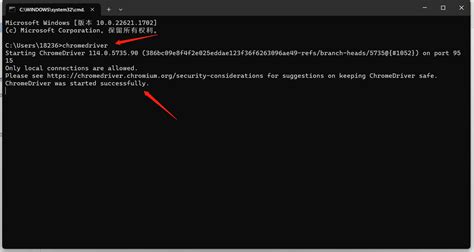 Chromedriver的安装 五杀摇滚小拉夫 博客园
