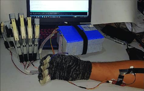 Overview Of The Experiment Download Scientific Diagram