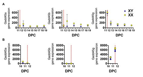 Pdf Gadd45g Is Essential For Primary Sex Determination Male