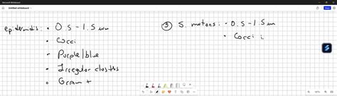 Solved What Is The Size Shape Color Arrangement And Gram Reaction Of Staphylococcus