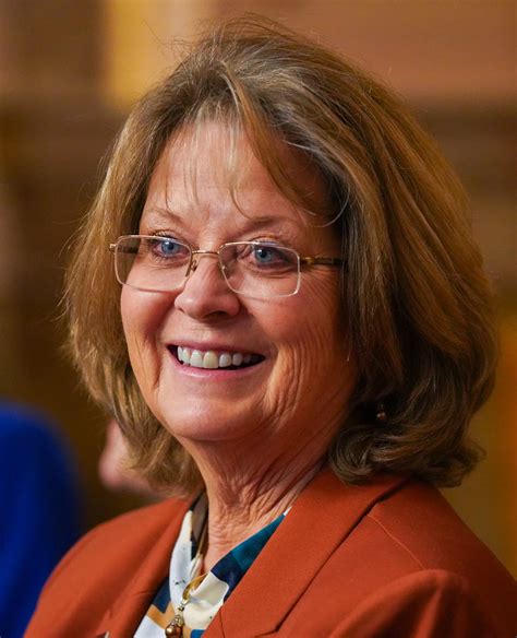 Colorado Governor Race 2026 Candidates And Records · Decodethevote