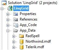 Radgrid For Asp Net Ajax And Linq