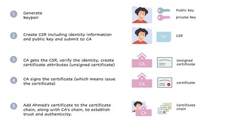 Demystifying Digital Certificates Types Security And Practical Guide