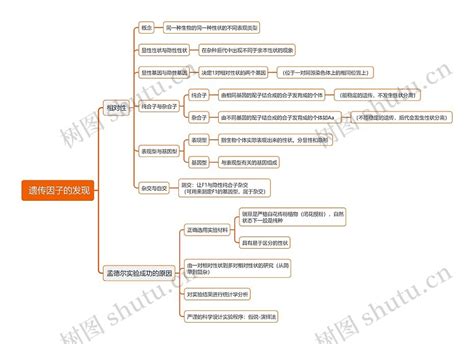 遗传因子的发现思维导图编号t1094509 Treemind树图