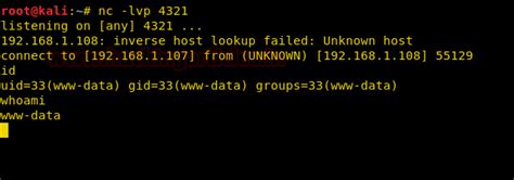 Exploit Command Injection Vulnearbility With Commix And Netcat