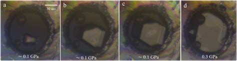 Pressure Induced Crystallization And Phase Transformation Of Para Xylene Scientific Reports
