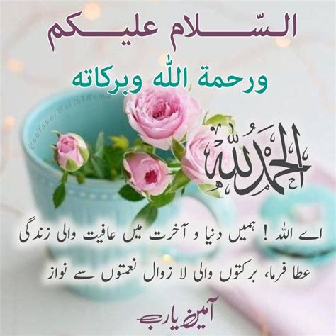 Salam Video  Subah Bakhair Good Morning Alhamdulillah