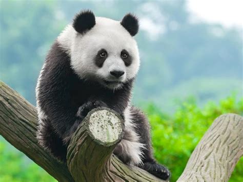Springboot多数据源的实现 知乎