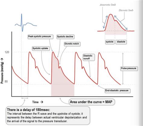 Cardiovascular Monitoring Flashcards Quizlet