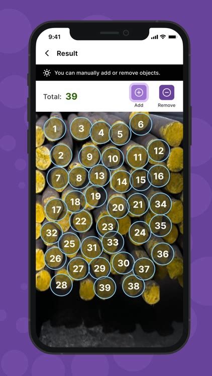 Count Rebar By Anh Hoang Thi Minh