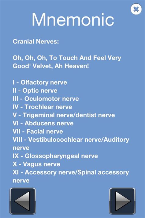 Cranial Nerves Mnemonic Nursing School Pinterest I Am Girls And