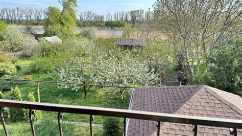 Пение птиц завтрак на реке фруктовый сад банька и отличный дом в ближайшем окружении