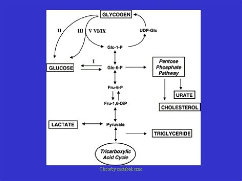 Choroby Metaboliczne Wrodzone Choroby Metaboliczne S Chorobami Monogenowymi