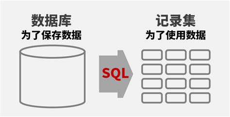 漫谈信息系统中的8种记录类型 知乎
