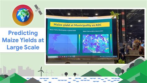 predicting maize yields at large scale using satellite remote sensing