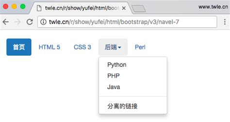 Bootstrap 导航元素 Bootstrap 3 基础教程 简单教程，简单编程