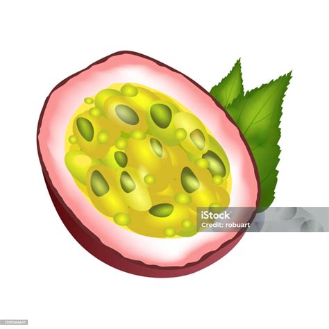 Potongan Buah Markisa Berair Dengan Daun Hijau Ilustrasi Stok Unduh Gambar Sekarang Adiboga