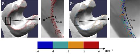 Principal Curvature Of The Saddle A Maximum Principal Curvature And Download Scientific