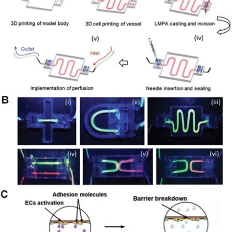 Representative Research Of Pdms Based Microfluidic Devices A Download Scientific Diagram