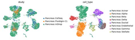 Reference Maping Using Scgen Scarches Documentation