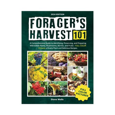 forager s harvest 101 a comprehensive guide to identifying preserving and preparing wild